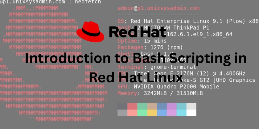 آشنایی با اسکریپت Bash در Red Hat Linux